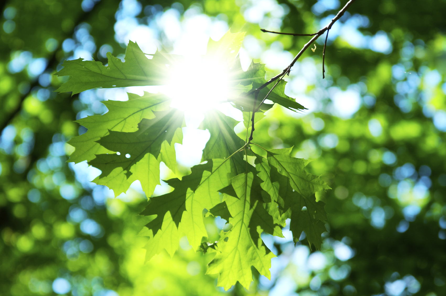 Lancement du nouveau site Web de l’AQPP : à consulter